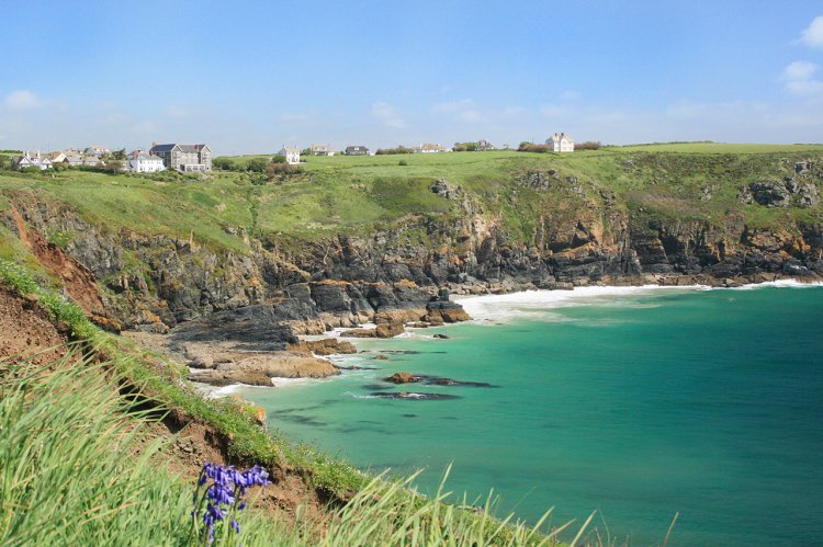 Camellia Cottage, Lizard