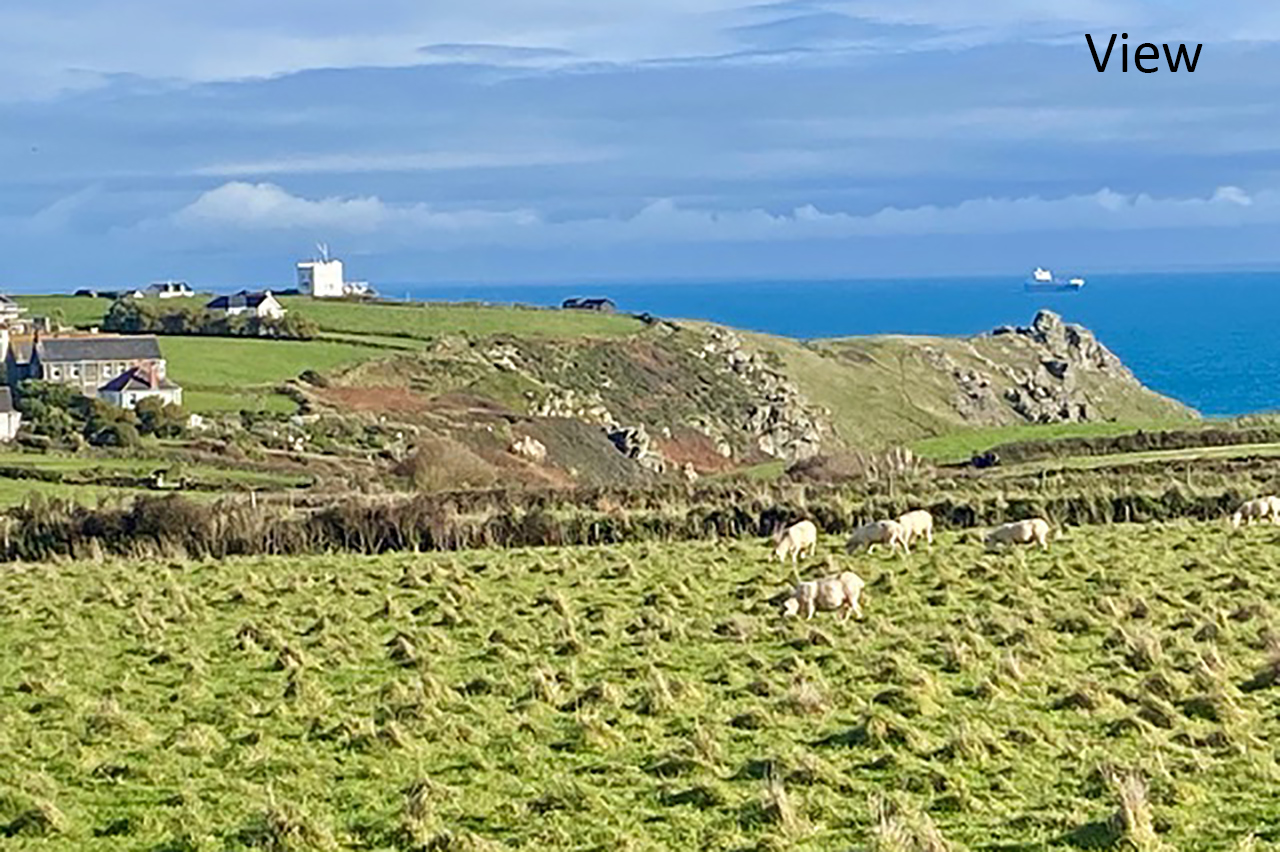 Camellia Cottage, Lizard
