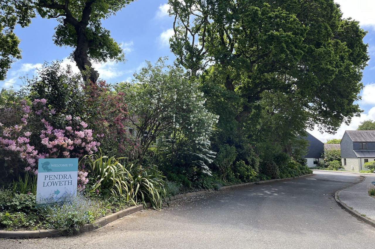 Primrose Cottage, Falmouth